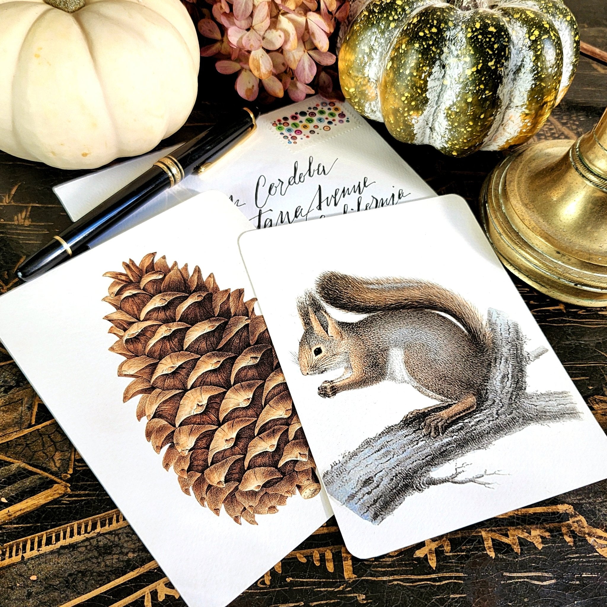 Set/ 12 Woodland Whimsy- Custom Note Cards and Stationery Set