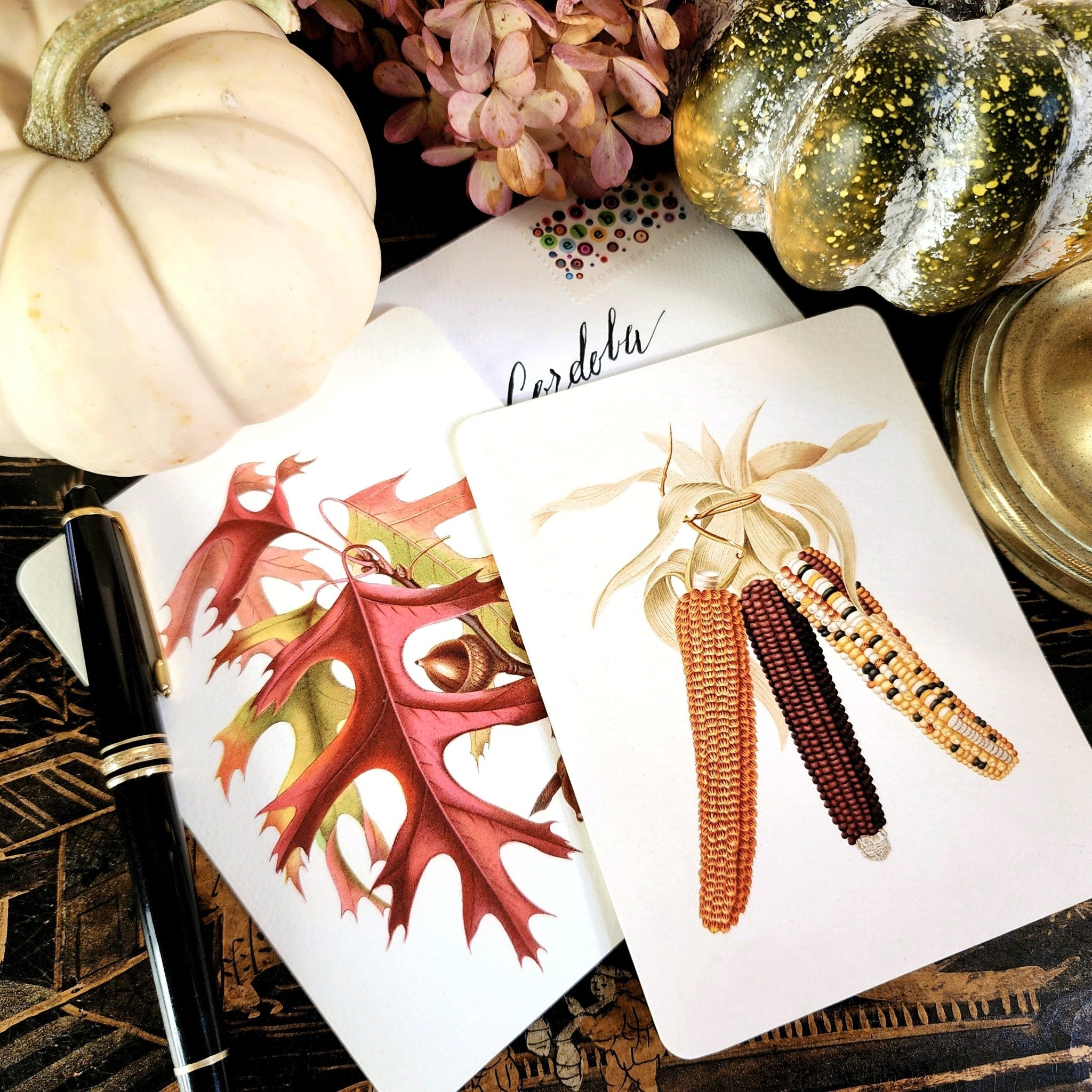 Set/ 12 Autumn Tableau Custom Note Card Set
