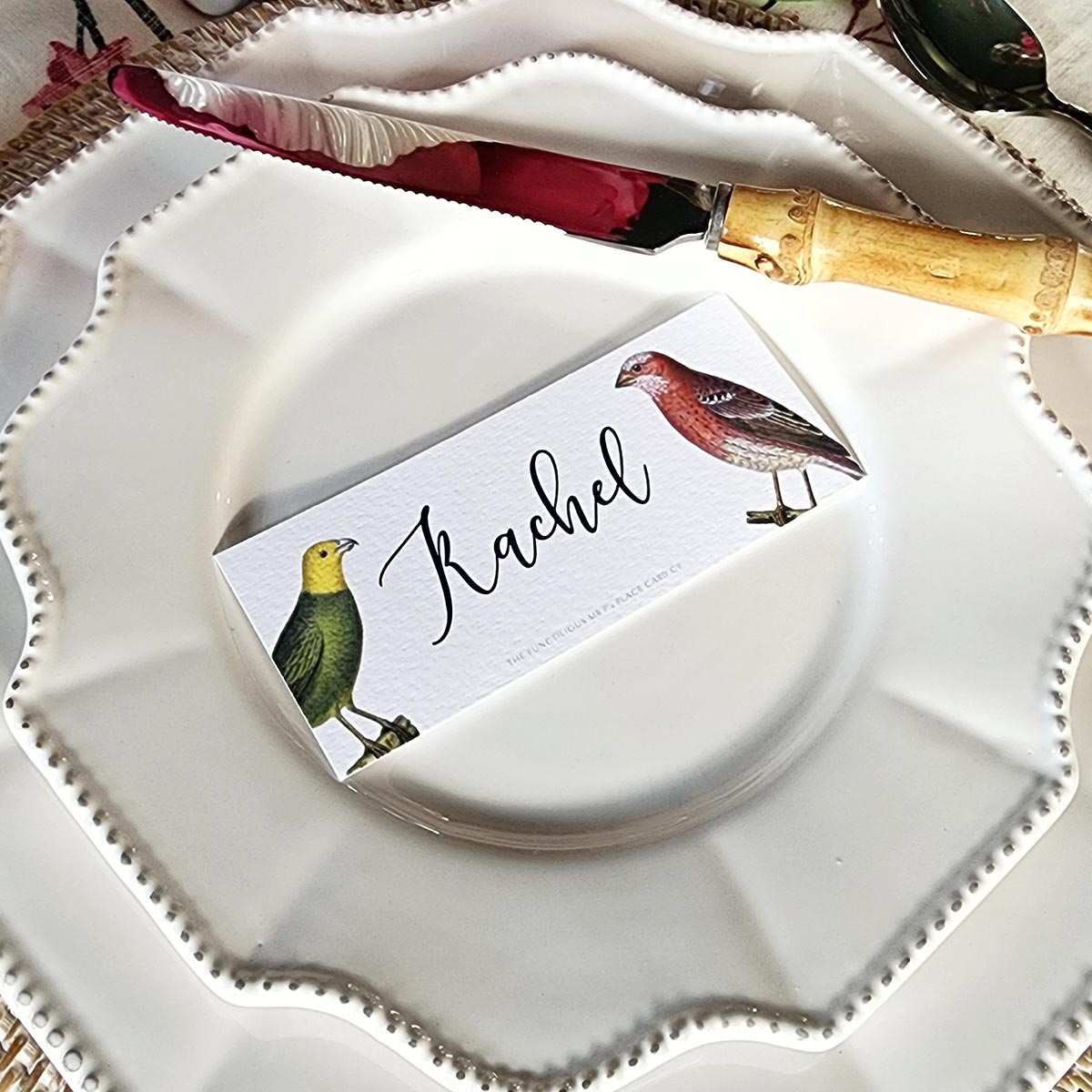 Set/ 16- Chromatic Cuckoo Birds Laydown Custom Place Cards