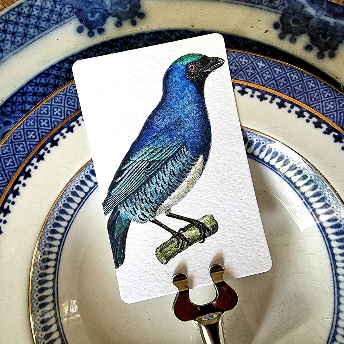 Set/ 8-16- Chromatic Cuckoo Birds custom place cards