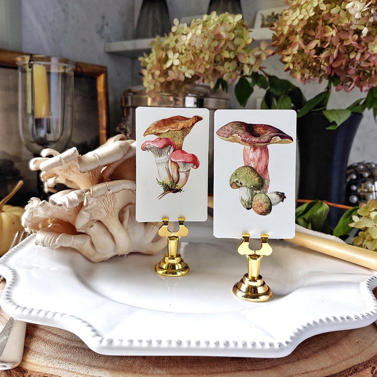 Set/ 12 Four Seasons Box- Packs of name place cards