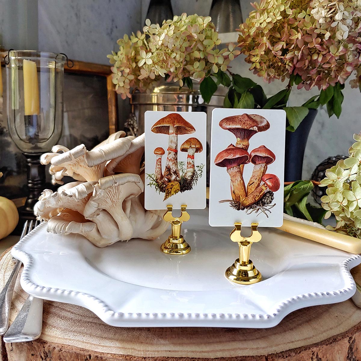 Set/ 6 Four Seasons Box- Packs of name place cards