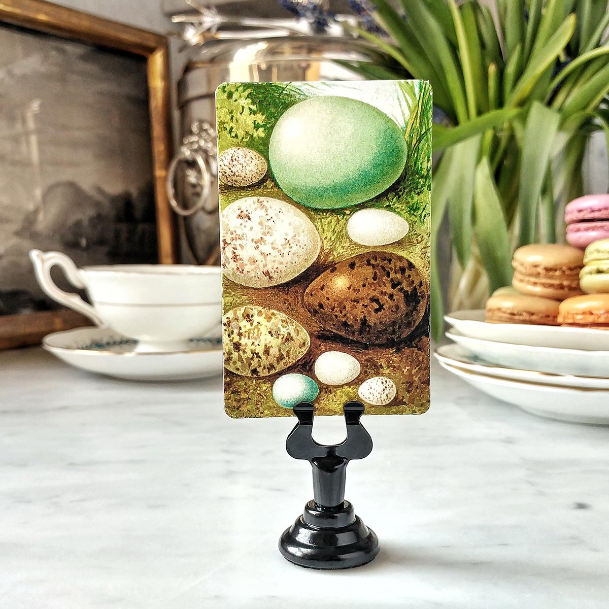 Set/ 16 Hippity Hoppity Easter Theme custom place cards