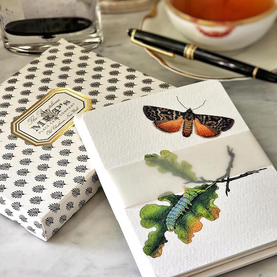Set/12 Moth + Twig Pack of Custom Note Card Set