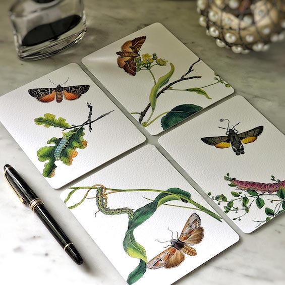 Set/12 Moth + Twig Pack of Custom Note Card Set