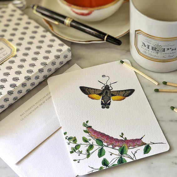 Set/12 Moth + Twig Pack of Custom Note Card Set