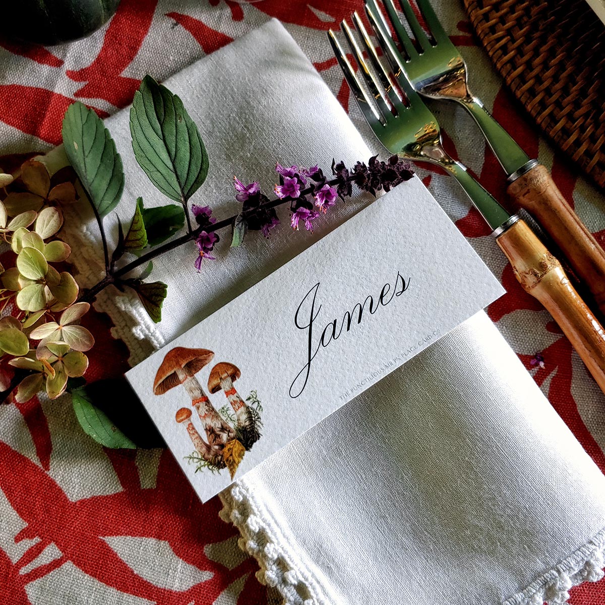Set/ 16 The Red Bands Mushroom Custom Laydown Place Cards