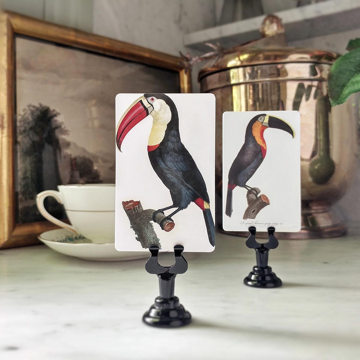 Set/ 16 Toucan Tropical Bird Theme custom name place cards