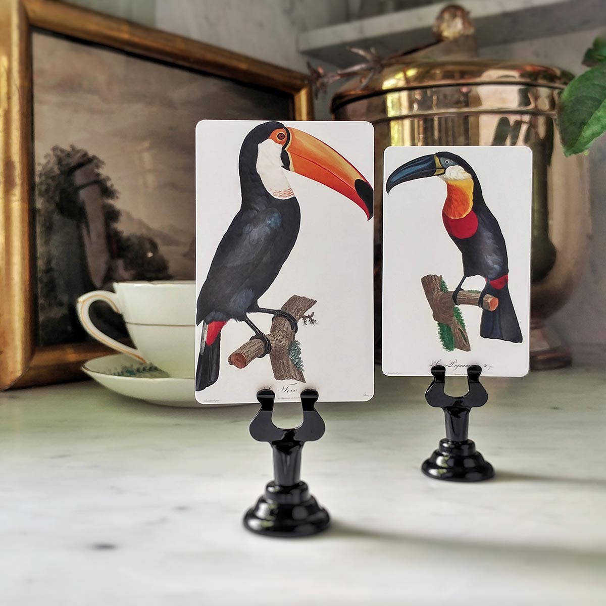 Set/ 16 Toucan Tropical Bird Theme custom name place cards